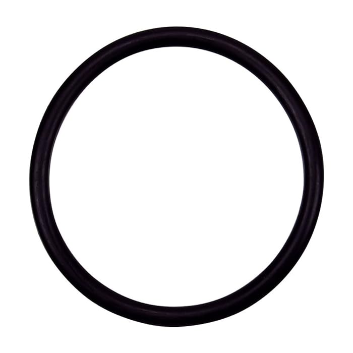 Buy Pentair 154492 2-Inch Bulkhead O-Ring Replacement Pool and Spa Sand ...