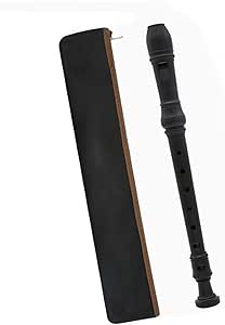 Amazon.com: soprano recorder instrument Recorder Flute 8-hole High ...