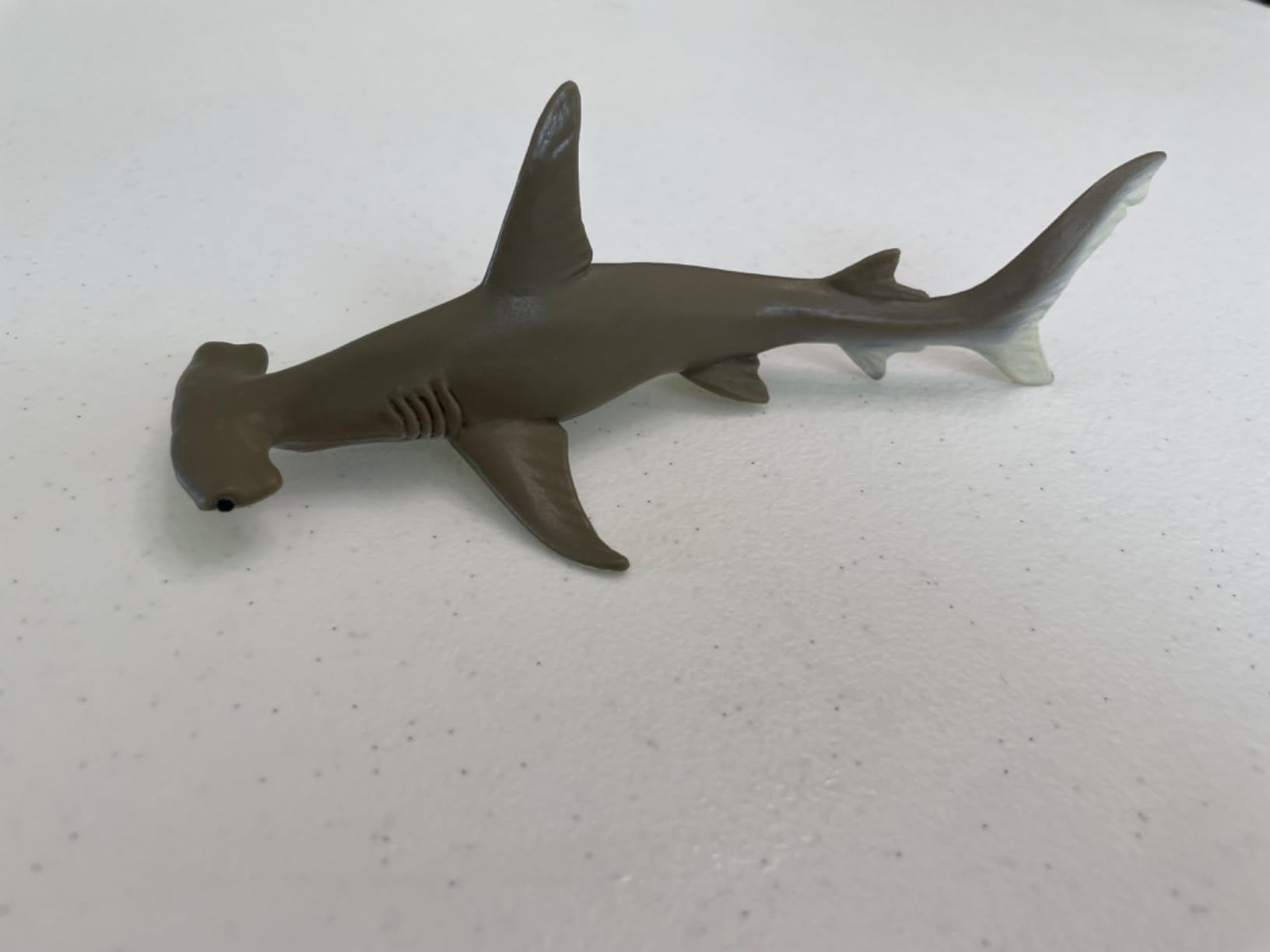 Amazon.com: Safari Ltd. Hammerhead Shark Figurine - Detailed 6.5 ...