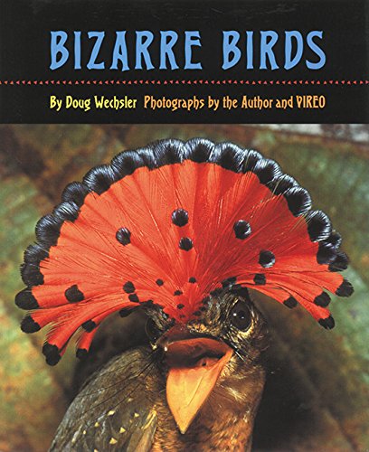 Bizarre Birds: Wechsler, Doug: 9781590782774: Amazon.com: Books