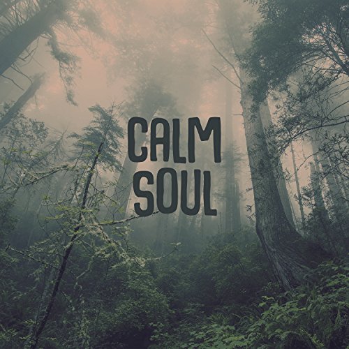 Play Calm Soul – Nature Sounds for Relaxation, Soothing Noise, Restful ...