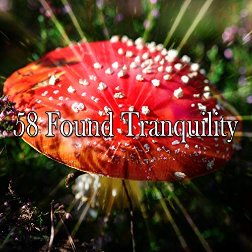 Amazon.co.jp: 58 Found Tranquility : Ocean Sounds Collection: Digital Music