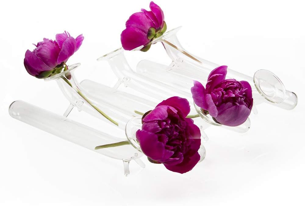 Amazon.com: Chive - Set of 6 Small Clear Glass Bud Vase for Short ...