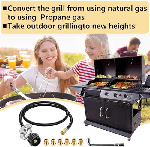 Upgraded 23080901 Natural Gas to Propane Conversion Kit Compatible with ...