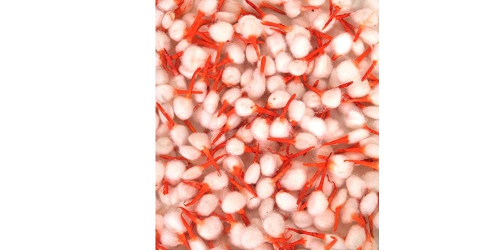 Lot De 100 Mèches En Coton Uni Rui Batti Pooja Samagri Pour