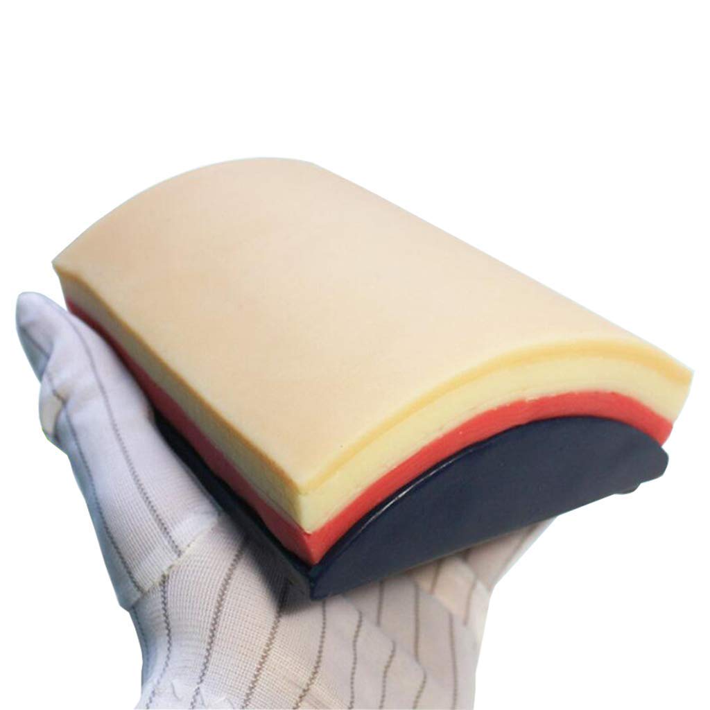 Buy WEHQ Training Suture Pad Skin Model Practice with Curved Base ...