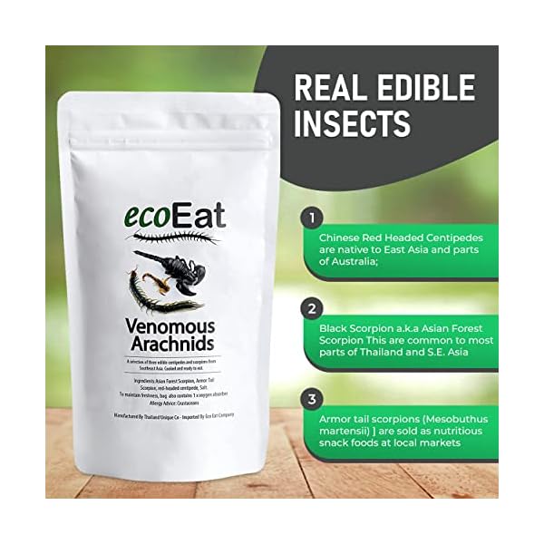 ecoEat Edible Arachnids (3 Insects) - Chinese Centipede, Black Asian ...