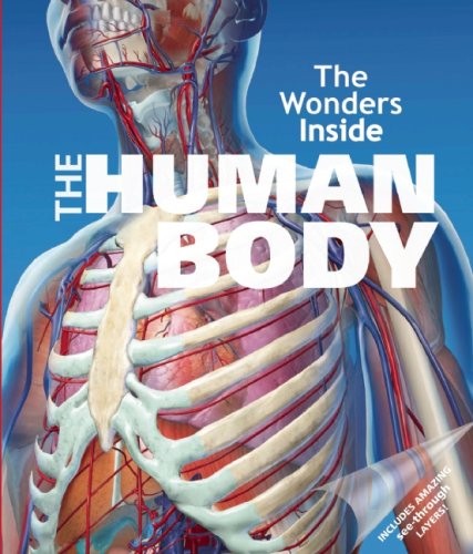 The Wonders Inside: The Human Body: Stradling, Jan: 9781571457189 ...