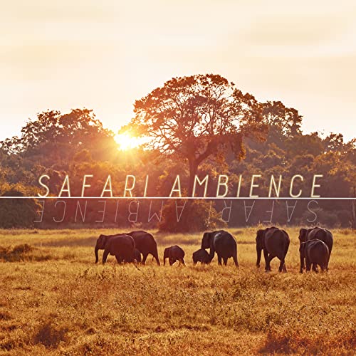 Play Safari Ambience: African Sounds, Tribal Drums, Safari Nature ...
