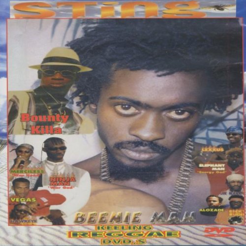 Sting - Reggae-Festival 2000/2001 [Alemania] [DVD]: Amazon.es ...