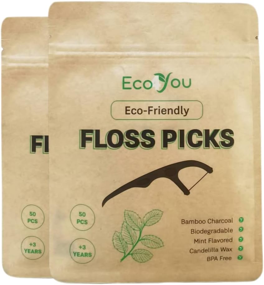 EcoYou Natural Bamboo Charcoal Dental Floss Picks | 100 Count (Pack of ...