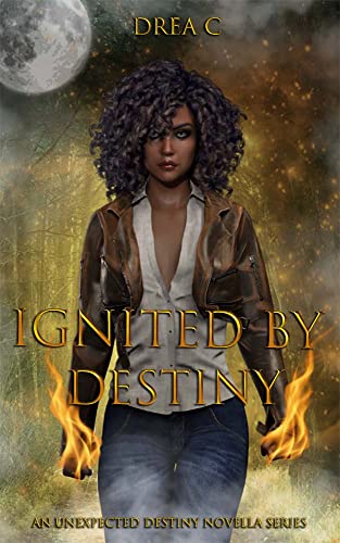 Amazon.com: Ignited By Destiny (Unexpected Destiny Novella Series Book ...