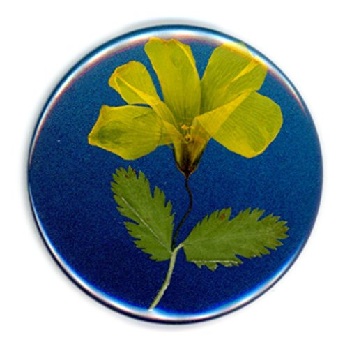 Amazon.com: Handmade Compact Makeup Pocket Mirror Blue with Yellow ...