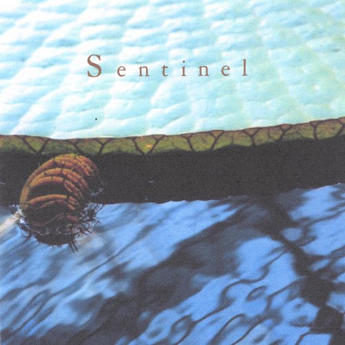 Amazon.com: Sentinel : Sentinel: Digital Music