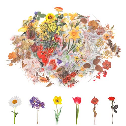 Blumen Bullet Journal – Die 15 besten Produkte im Vergleich - hunger ...