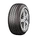 Amazon.co.jp: クーパーコブラ オールシーズンタイヤ Cooper Cobra GT All-Season Tire - 235 ...
