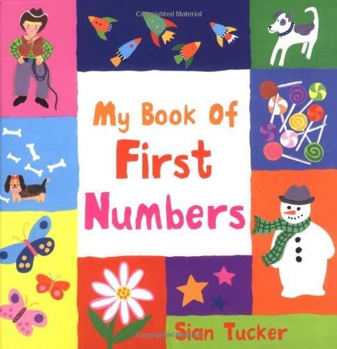 Amazon.com: My First Book Of Numbers: 9781856024822: Tucker, Sian: Books
