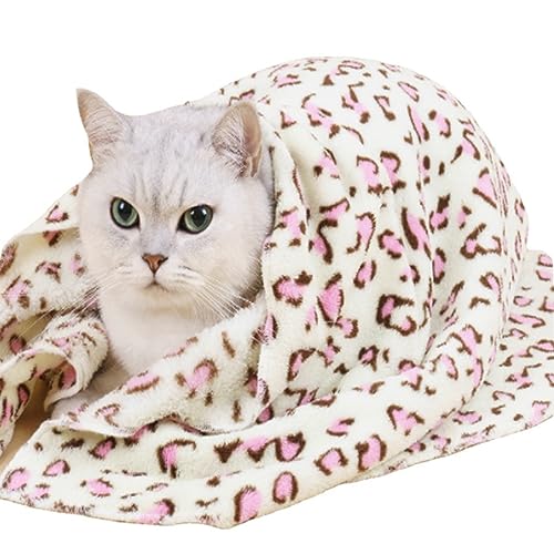 Migliori coperta antipelo gatto - Guida alla scelta