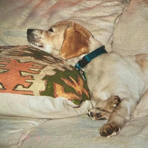 i'm not afraid to fall (into your arms, into your arms) by Beige Lexus ...