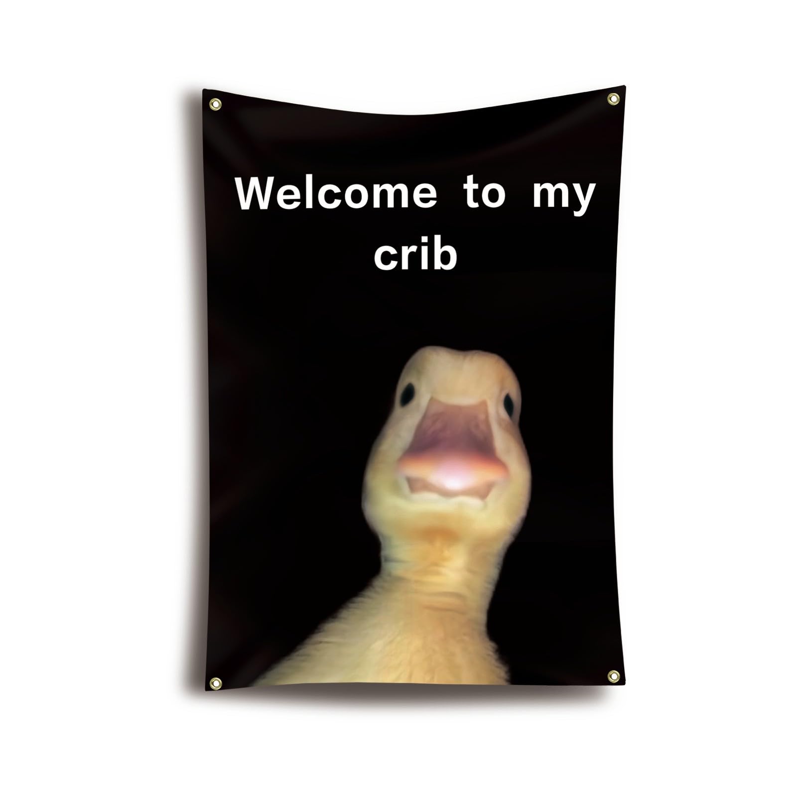 Amazon.com : Welcome to My Crib Flag 2x3 Feet Funny Flags for Room Man ...