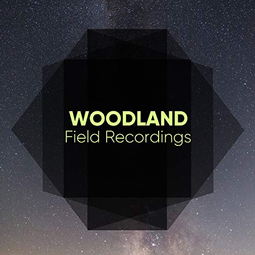 Amazon.com: Relaxing Native Woodland Field Recordings : Sounds of ...