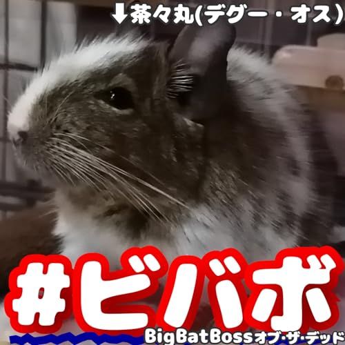 Amazon.co.jp: ビバボ~Big bat boss・オブ・ザ・デッド~ : Big Bat Boss: 本