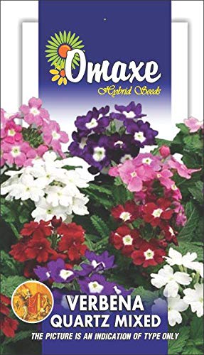 Verbena quartz mixed Flower Seeds Kitchen Garden Packet sold by Kitchen ...