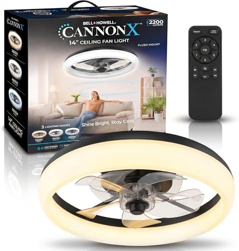 Amazon.com: CannonX Black 19” Fandelier Ceiling Fans with Lights and ...