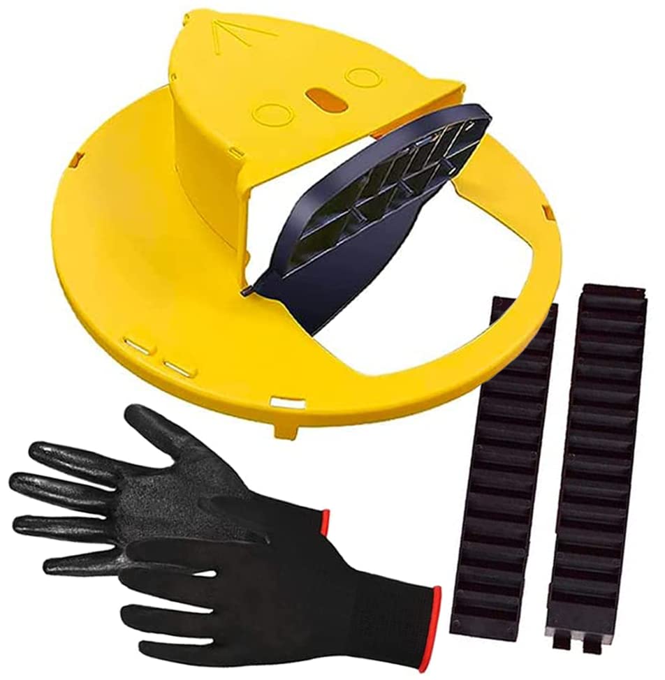 Buy Mouse Trap - Safe & Sanitary Kill or No Kill - Humane Mouse Trap ...