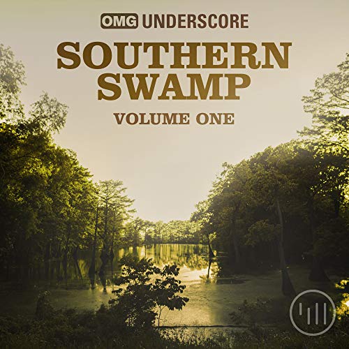 Amazon.com: Southern Swamp, Vol. 1 : Ron Gamache, Chad McKinsey & Jason ...
