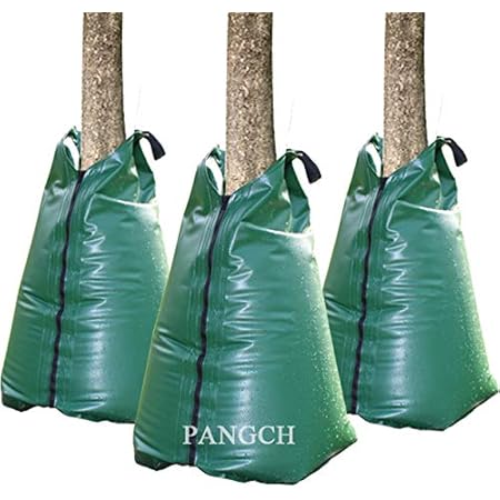 Amazon.com : Treegator Original Slow Release Watering Bag for Trees, 1 ...