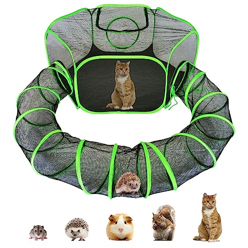 10 Best Ferret Cages with Tubes - The Ultimate Buying Guide! - Furry Folly