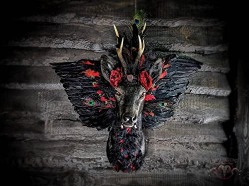 Amazon.com: Made to order Beautiful black real Roe Deer wall mount ...