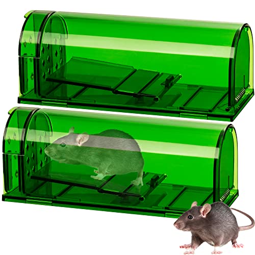 Top 10 Best No Kill Mouse Trap : Reviews & Buying Guide - Katynel