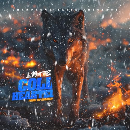 Amazon.co.jp: Cold Hearted [Explicit] : Lil Mikey TMB: Digital Music