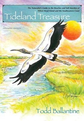 Tideland Treasure( Expanded Edition)[TIDELAND TREAS REV/E][Paperback ...