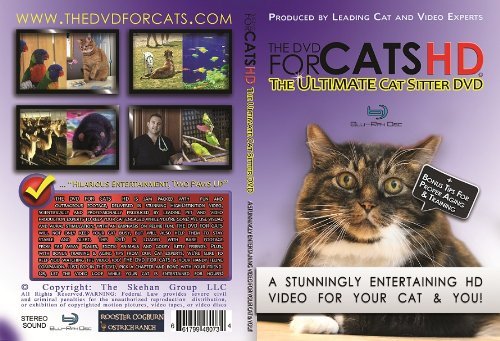 Amazon.com: THE DVD FOR CATS HD: The Ultimate Cat Sitter DVD (Blu-Ray ...