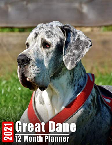 2021 Planner 12 Months Great Dane: 2021 Academic Monthly Calendar ...
