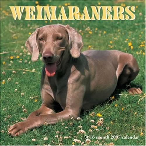 Weimaraners 2007 Wall Calendar: 9781592847464: Amazon.com: Books