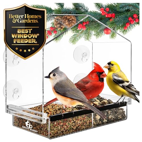 10 Best Window Bird Houses: Reviews and Buying Guide to Bring Birds to ...