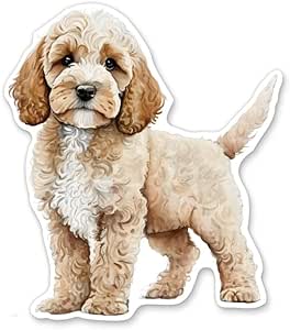 Amazon.com: Cockapoo Dog Stickers - 2 Pack - Waterproof Vinyl for Car ...