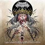 【発売日：2026年04月03日】・製造元:Stillbirth Records