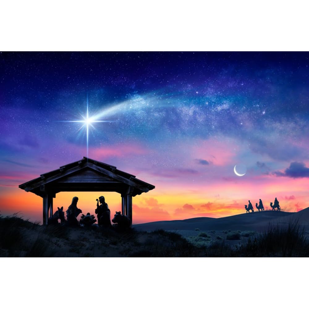Amazon.com : Christmas Nativity Backdrop 10x8ft Fabric Nativity Scene ...