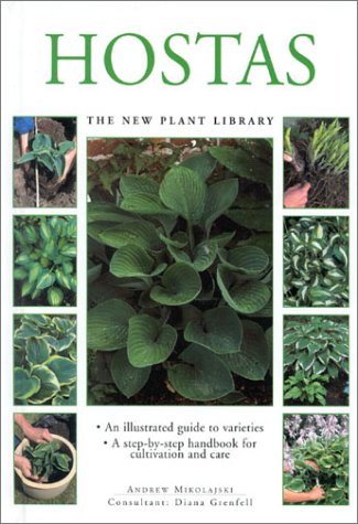 Hostas (Little Plant Library): Mikolajski, Andrew: 9781842155158 ...
