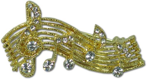 Gold Music Note Pin 1.75": 0879093000613: Amazon.com: Books