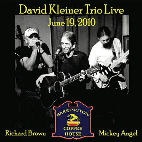 Amazon MusicでDavid Kleiner TrioのLive at the Barringtonを再生する