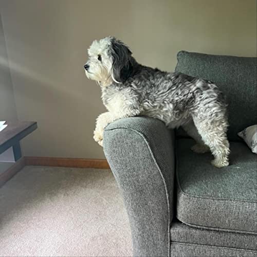 Maps by Evan Shine on Amazon Music - Amazon.com