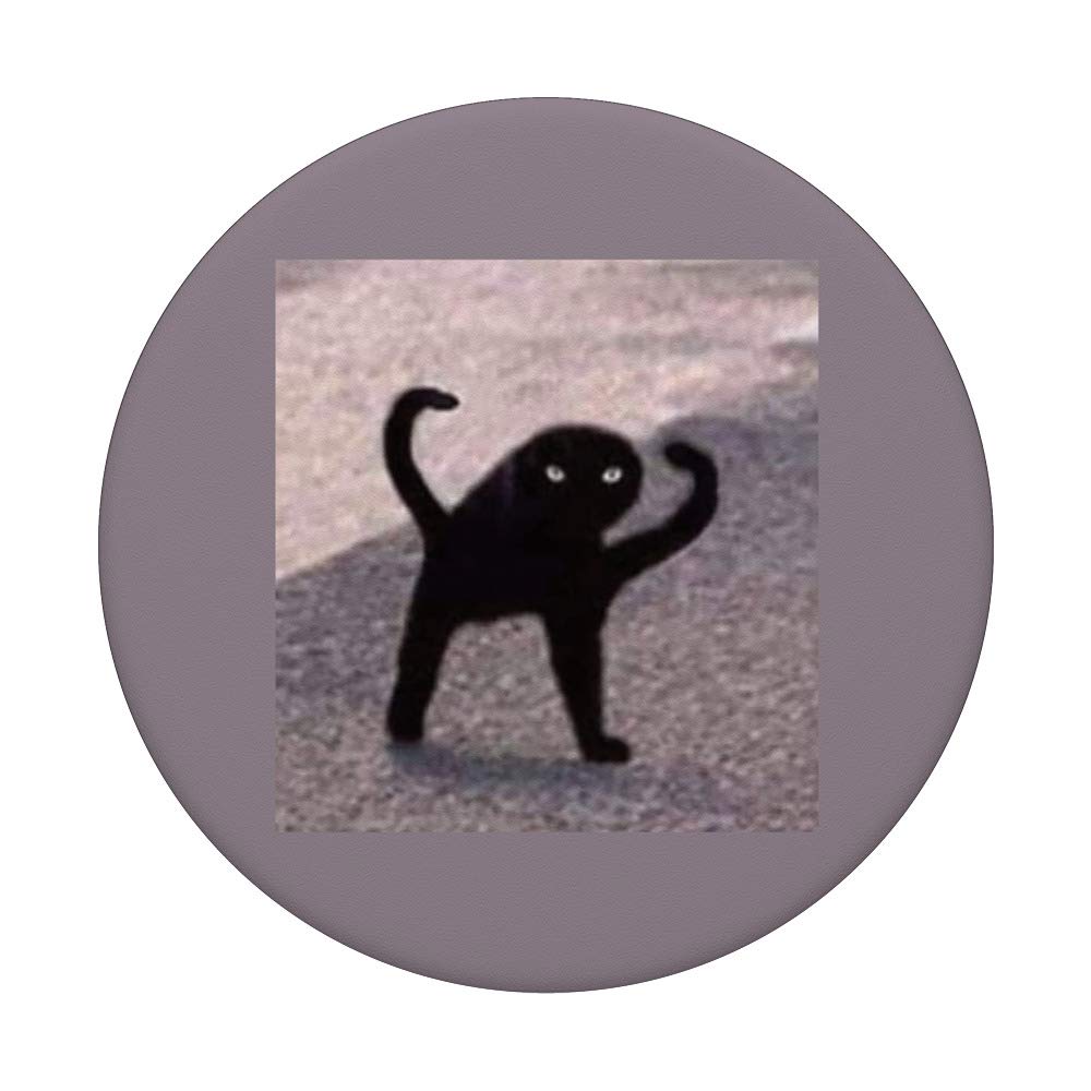 Angry Black Cat Memes