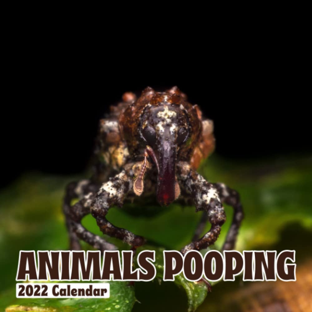 Animals Pooping Calendar 2022 Animals Pooping Official 2022 Monthly ...