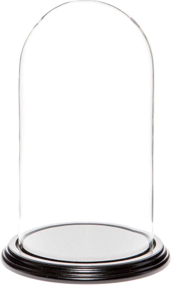 Amazon.com: Plymor 5.5" x 10" Glass Display Dome Cloche (Black Wood ...